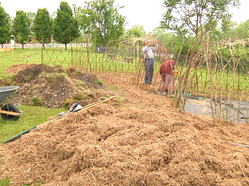 Children's Willow Play Structure - WHIZ - Fox 5 / Marquee Broadcasting