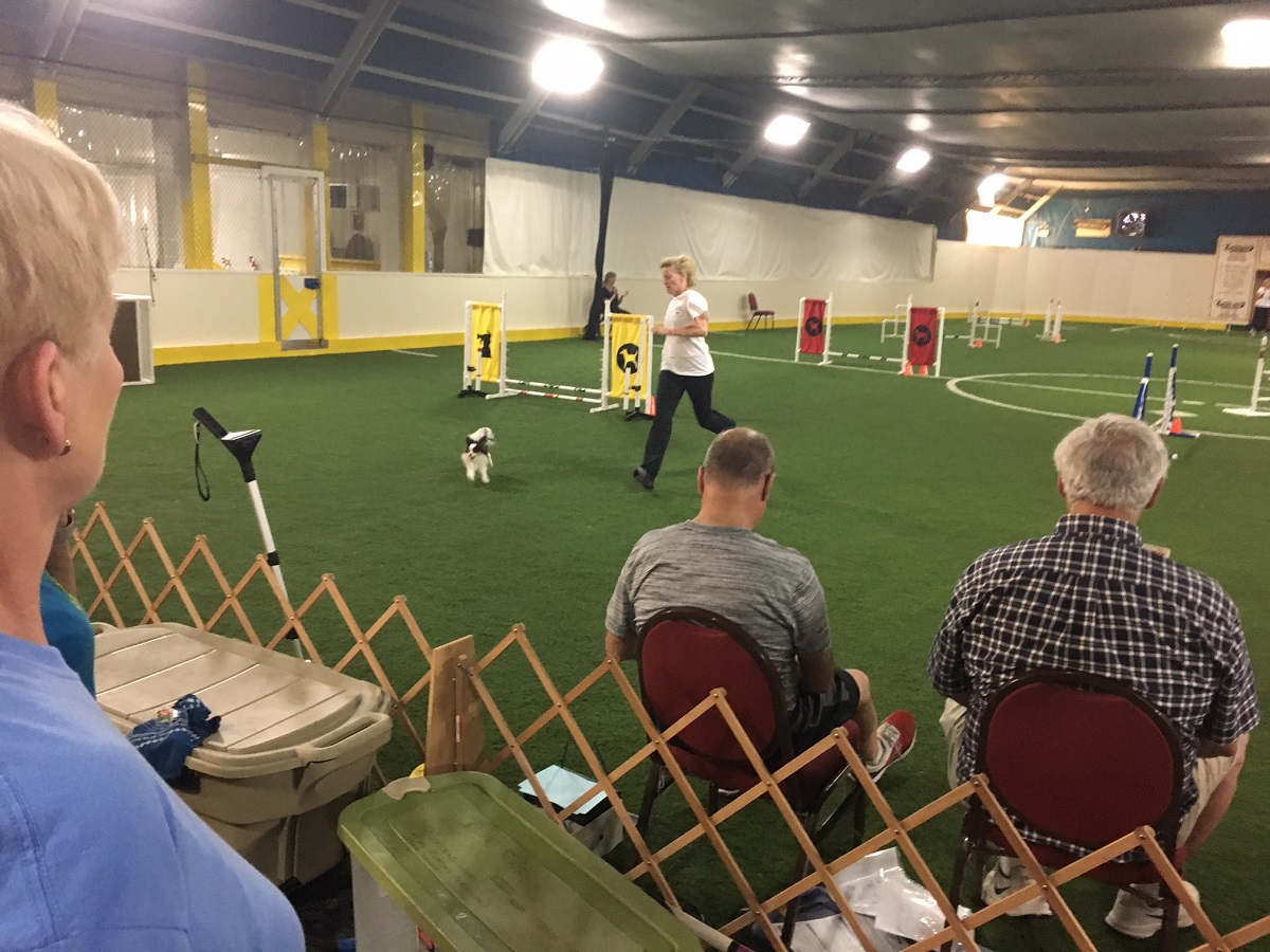 Dogs Competition at Field House - WHIZ - Fox 5 / Marquee Broadcasting