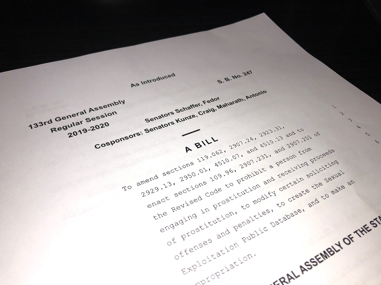 "This is a very real danger," Sen. Schaffer fights human trafficking ...
