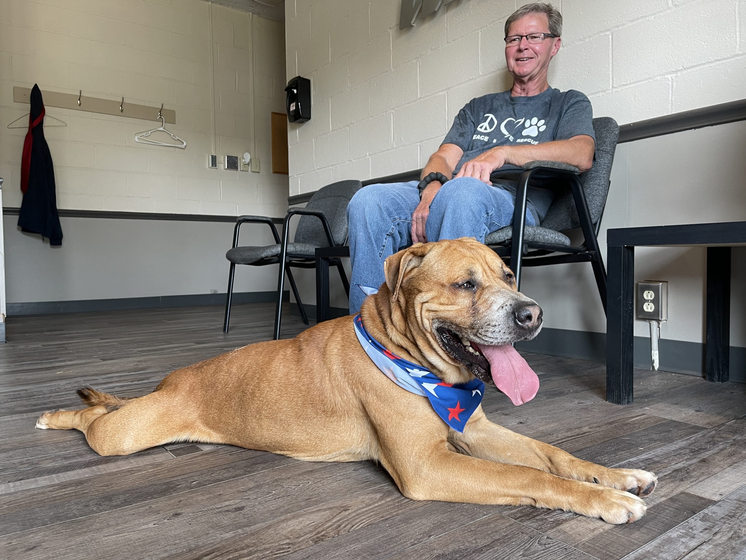 Dog of the Week - WHIZ - Fox 5 / Marquee Broadcasting