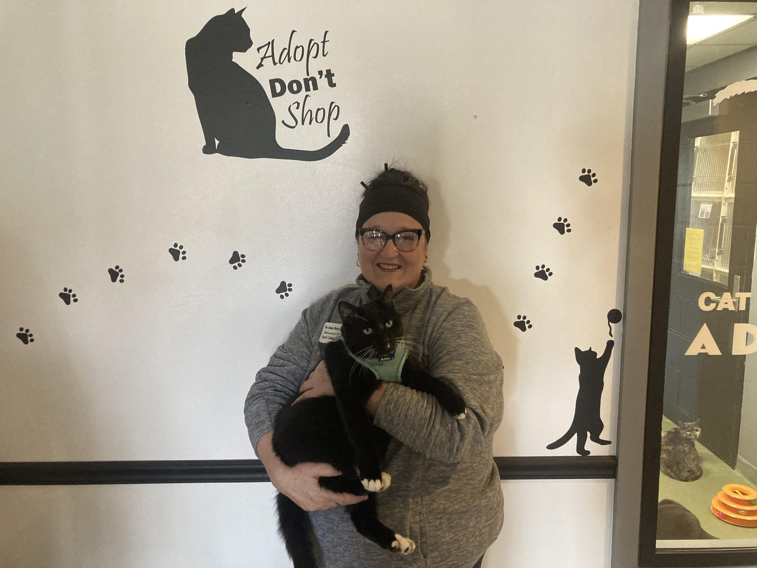 The Animal Shelter Society: National Rescue Cat Day and Yappy Hour ...