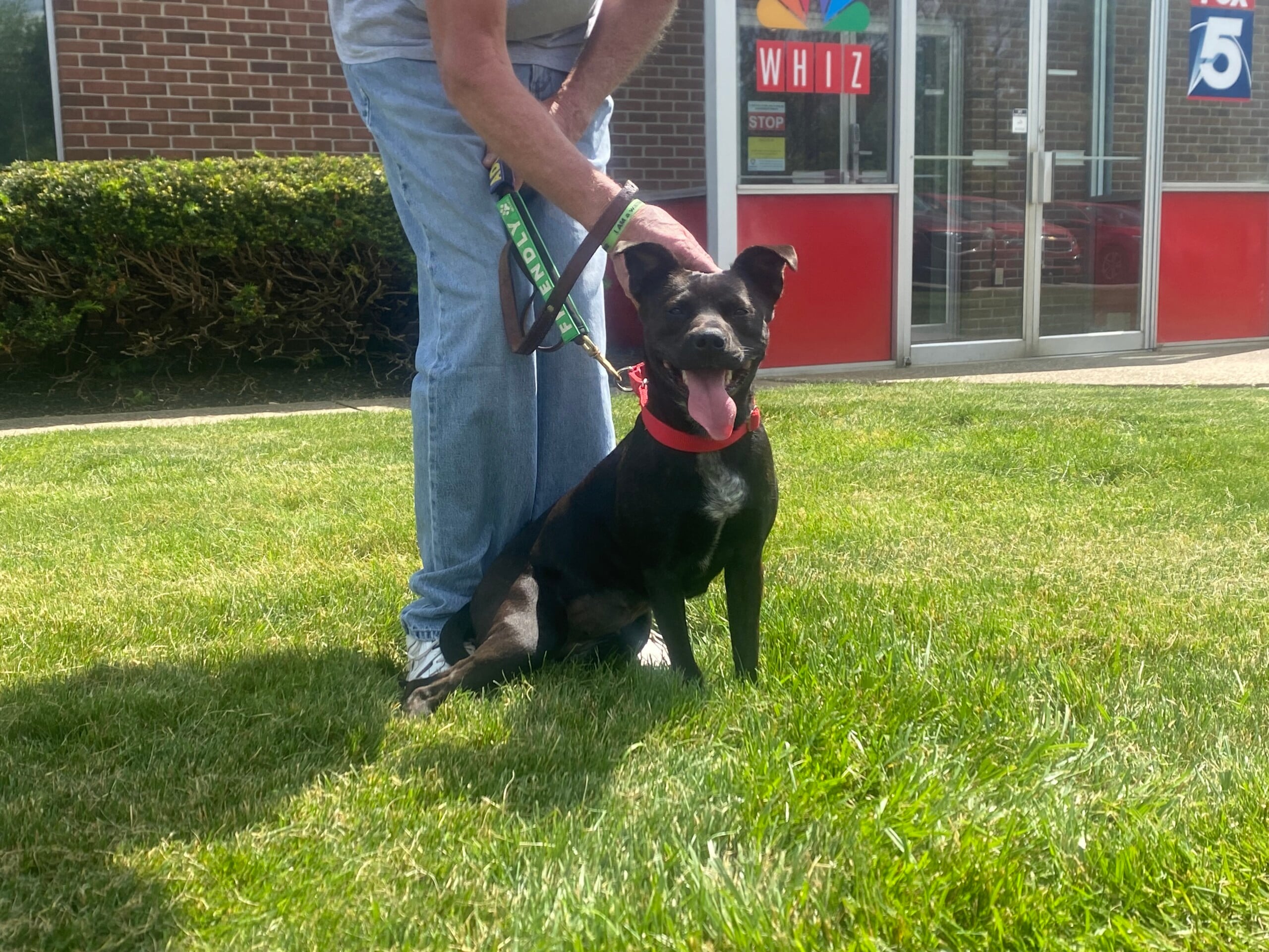 Meet This Weeks Dog of the Week - WHIZ - Fox 5 / Marquee Broadcasting