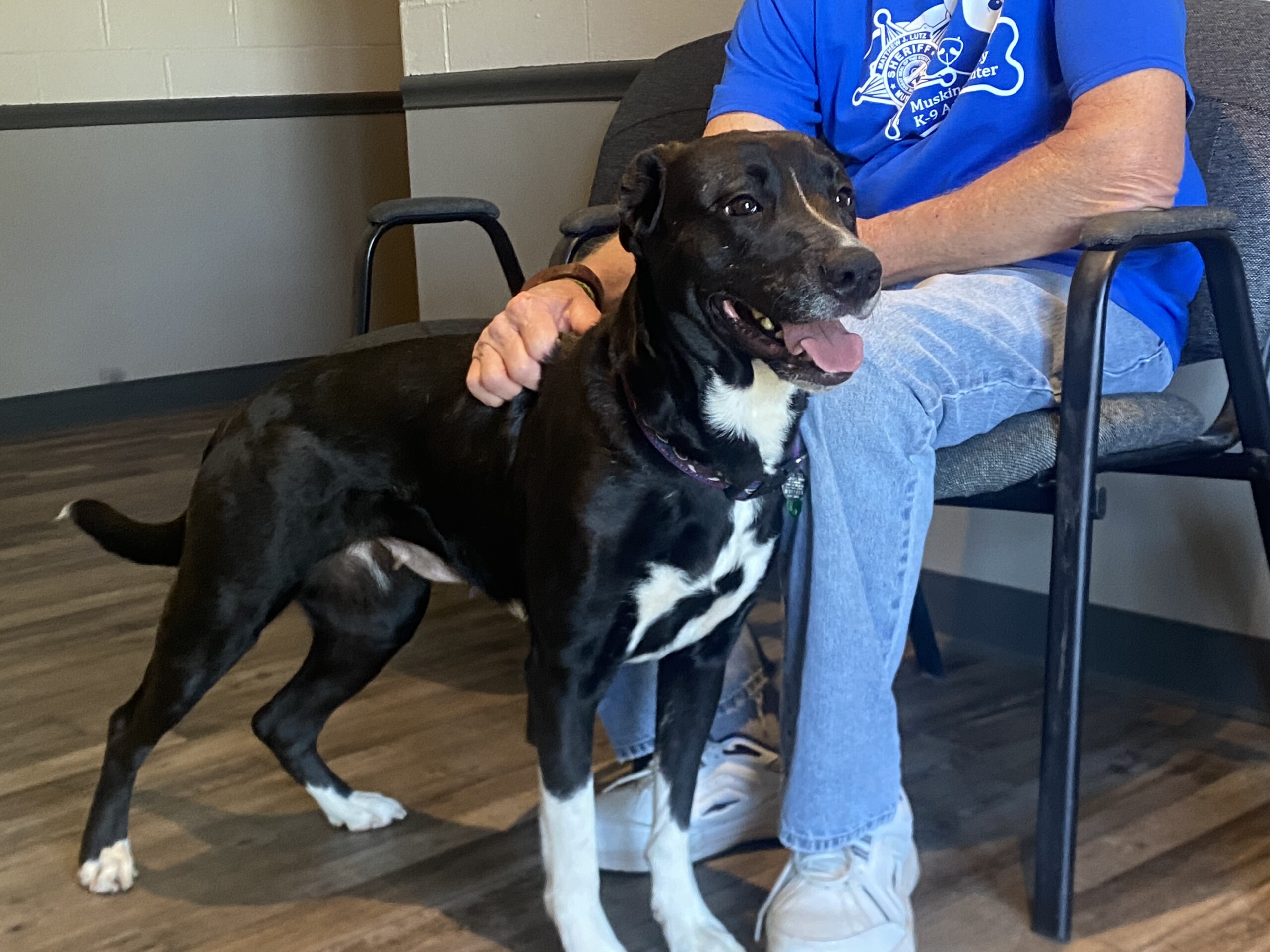 Muskingum County K-9 Adoption Center: Dog of The Week - WHIZ - Fox 5 ...