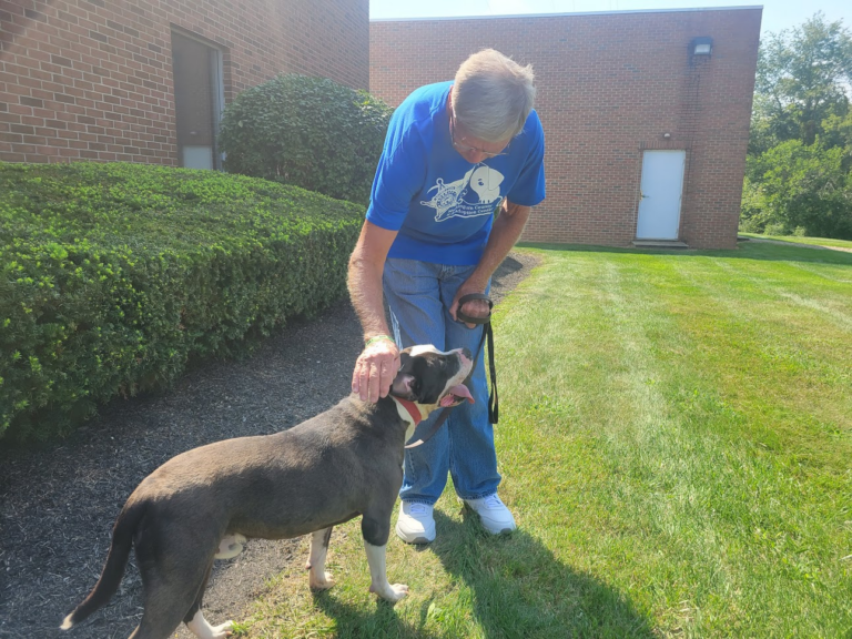 Dog of the week Rizzo needs a home - WHIZ - Fox 5 / Marquee Broadcasting