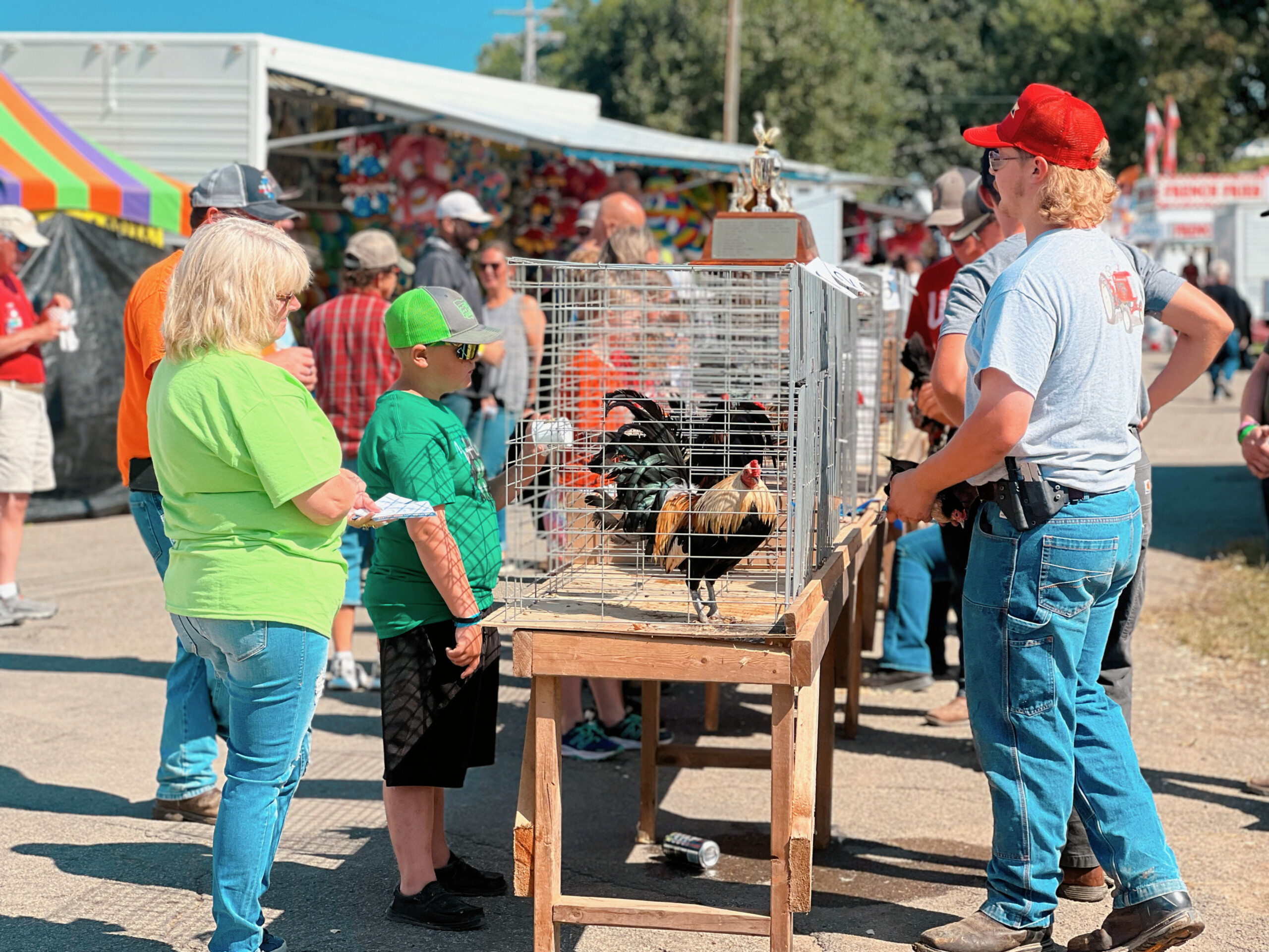 Rooster Crowing Contest Takes Place at the Muskingum County Fair - WHIZ ...