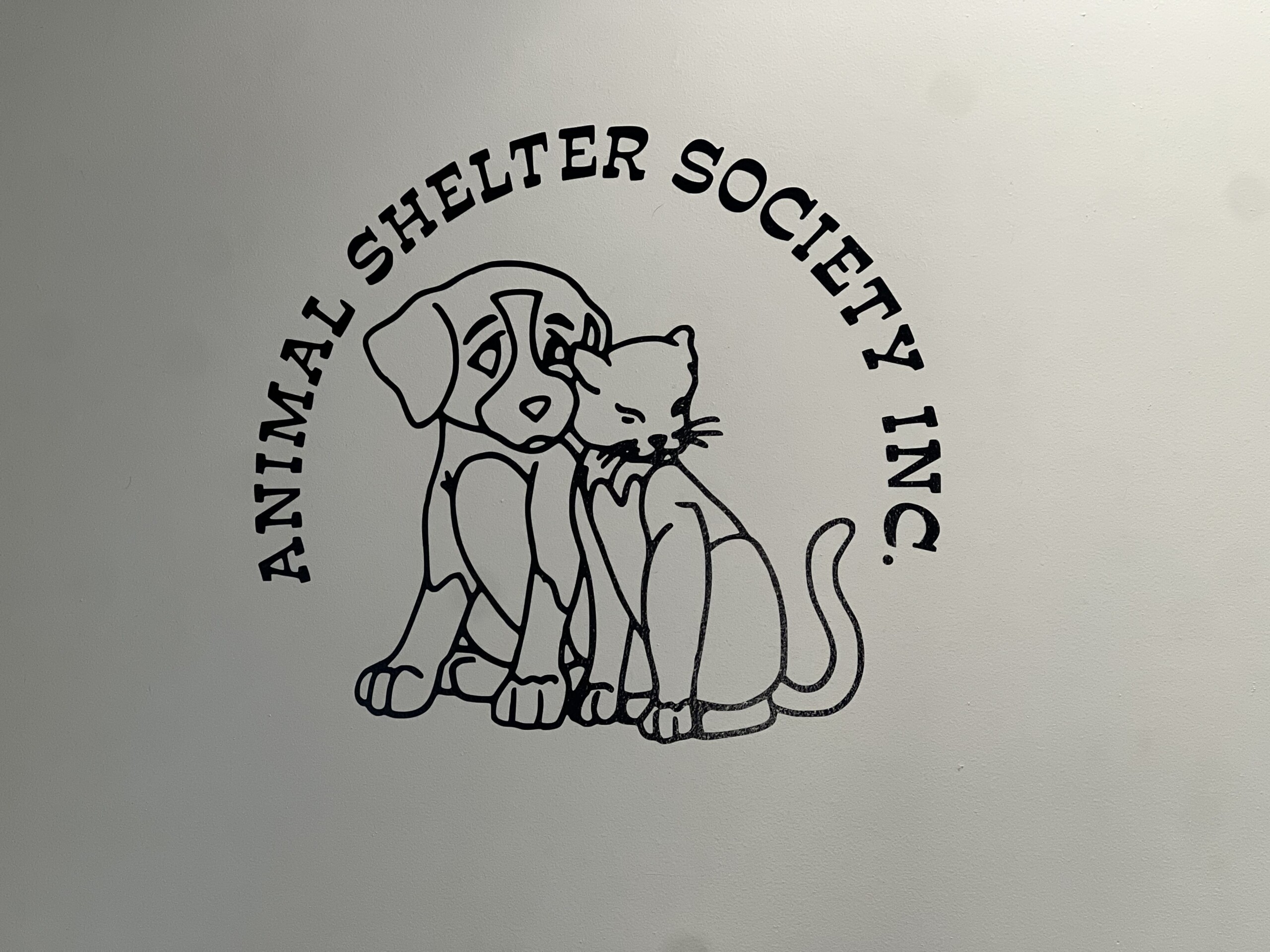 The Animal Shelter Society Highlights the Importance of Keeping Pets ...
