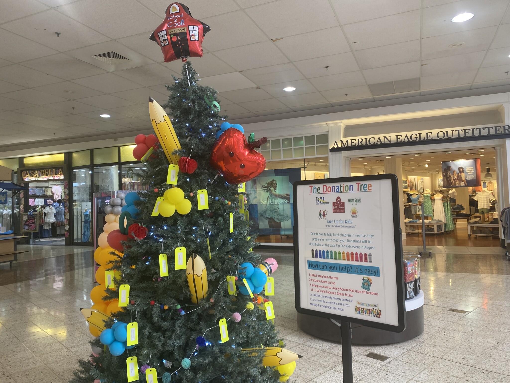 Support Local Students with 'The Donation Tree' - WHIZ - Fox 5 ...