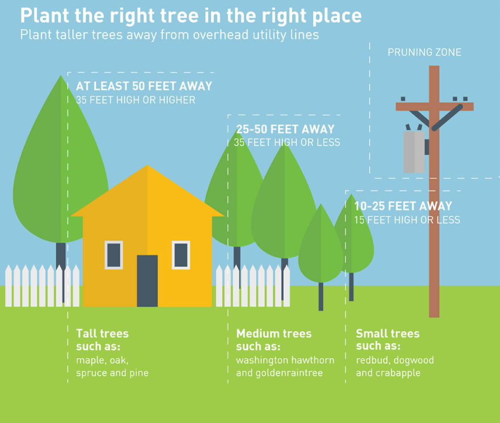 Spring Tree Planting Tips: AEP Ohio Urges Customers to Consider Power ...