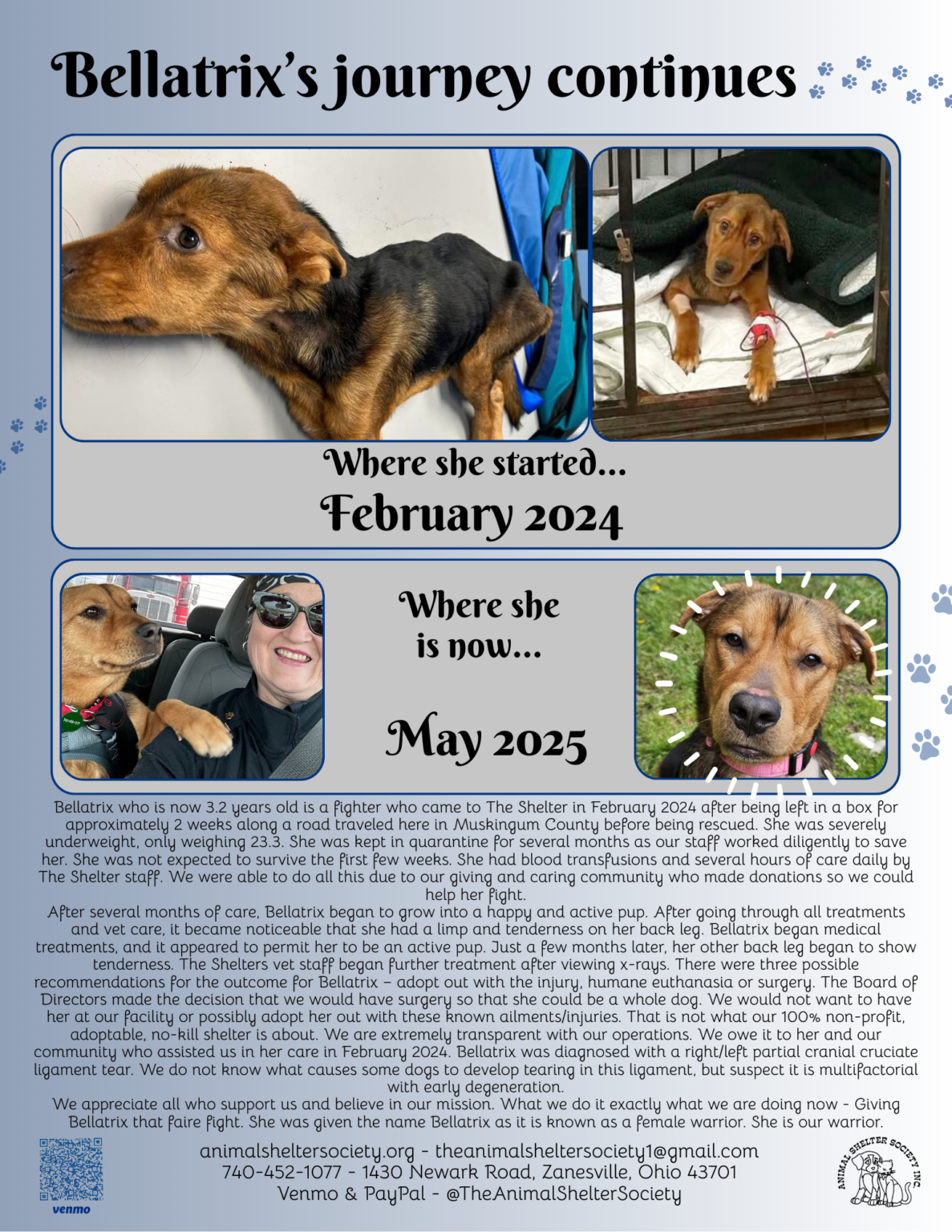 Meet this Very Special Pet of the Week: Bellatrix - WHIZ - Fox 5 ...