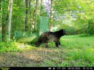 ODNR Tracking Ohio Bear Population - WHIZ - Fox 5 / Marquee Broadcasting